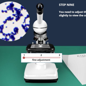 Design Your Microbiology Kit - Carolina Distance Learning