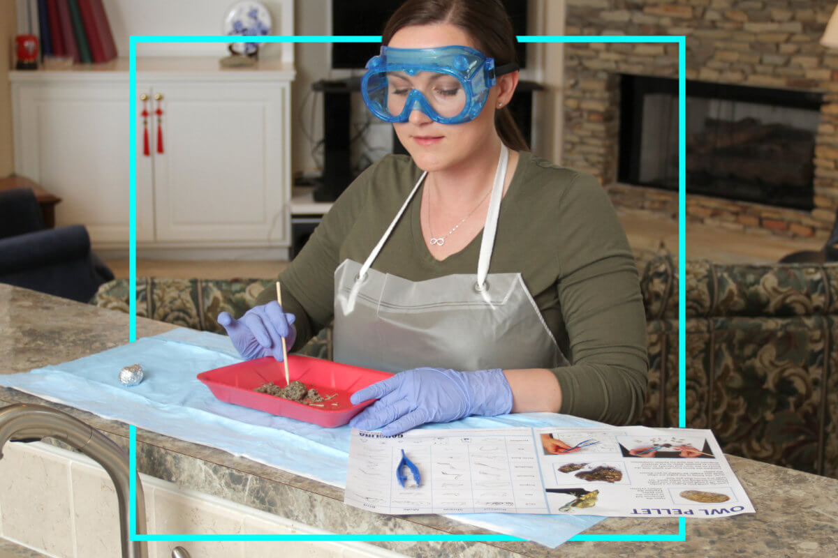 Environmental Science Lab Kits - Carolina Distance Learning